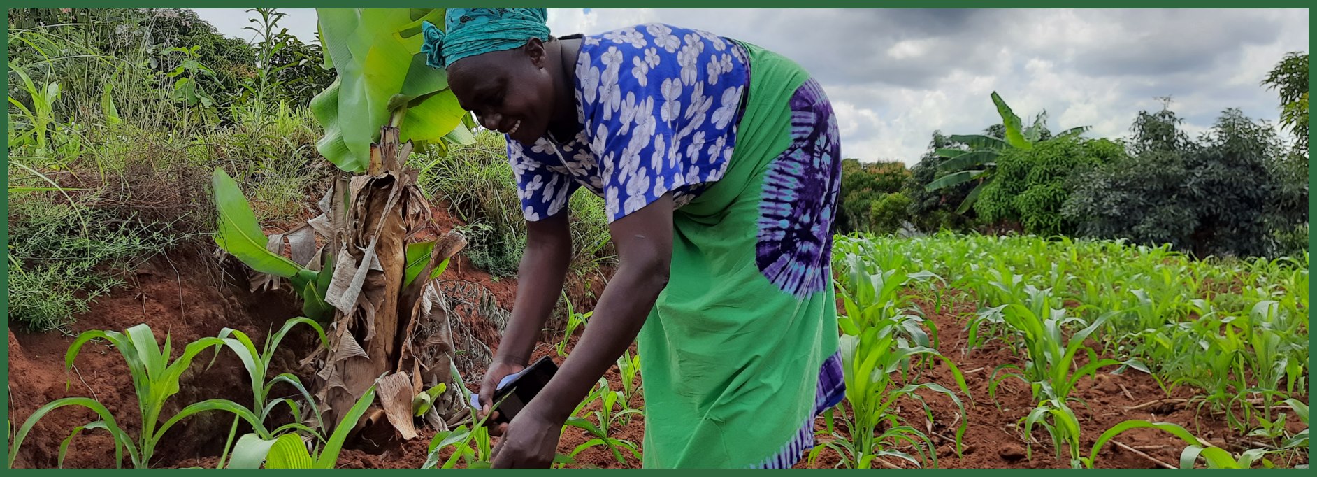 r2_4_02a - Typy rolnictwa i regiony rolnicze